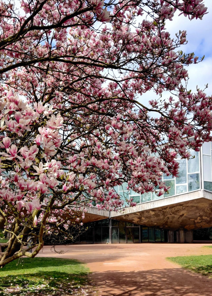 Les 5 plus beaux parcs à visiter au printemps autour de Lille | Les ...